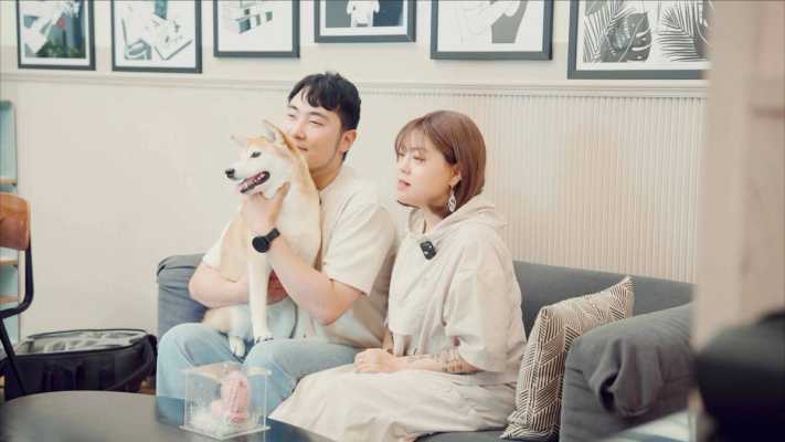 Original Hat from Dogwifhat Meme (2018) | Ord City