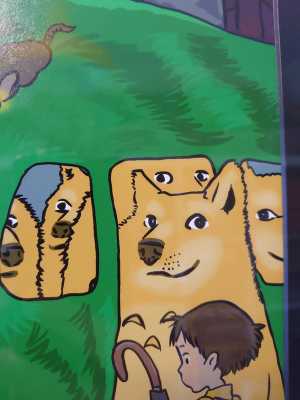 FROGBUS Display | Scarce City