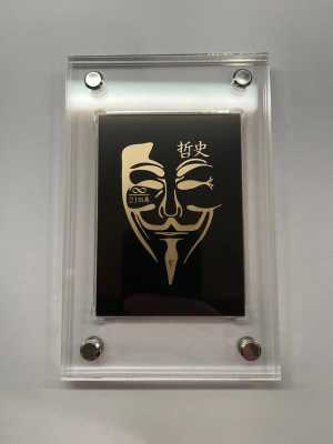 #1/21 Guy Satoshi Daiji PCB - Black & Gold | Scarce City