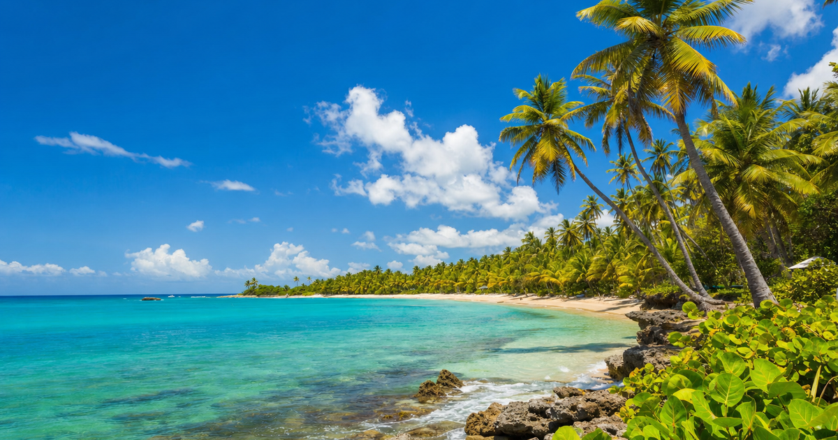 Visiting the Dominican Republic in November 2026: Weather, Events ...