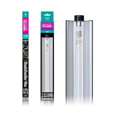 Ball Python | HappyDragons