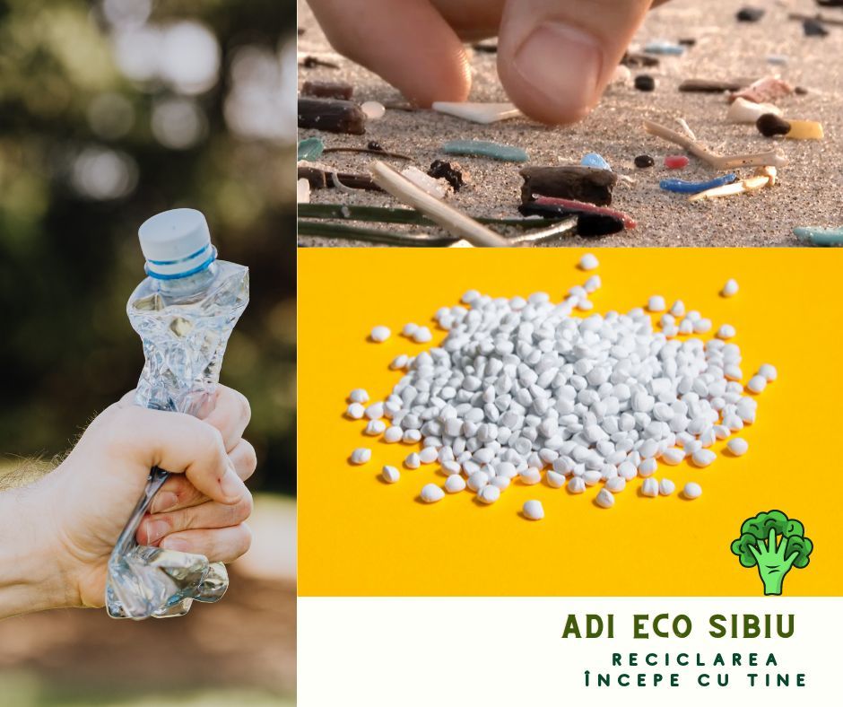 Cum a apărut PET-ul?