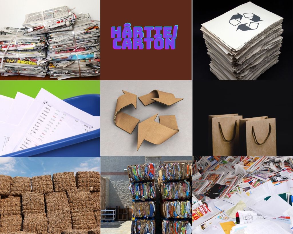 Reciclarea hârtiei, esențială pentru conservarea resurselor naturale ...