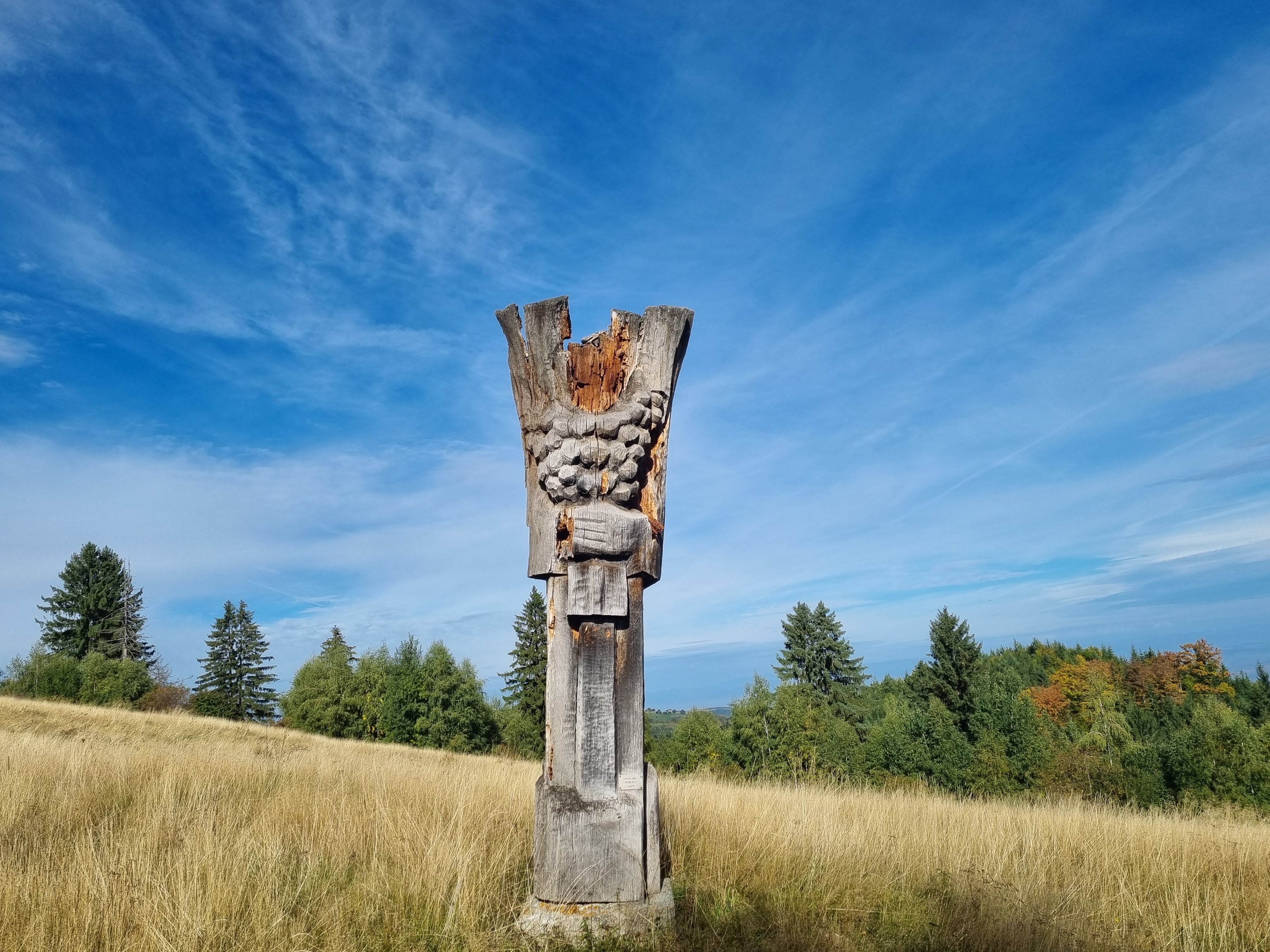 Drumeții în Săliște: 10 sculpturi din lemn de la Poiana Soarelui au ...