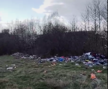 Tânăr amendat și obligat să strângă gunoaiele aruncate pe malurile ...