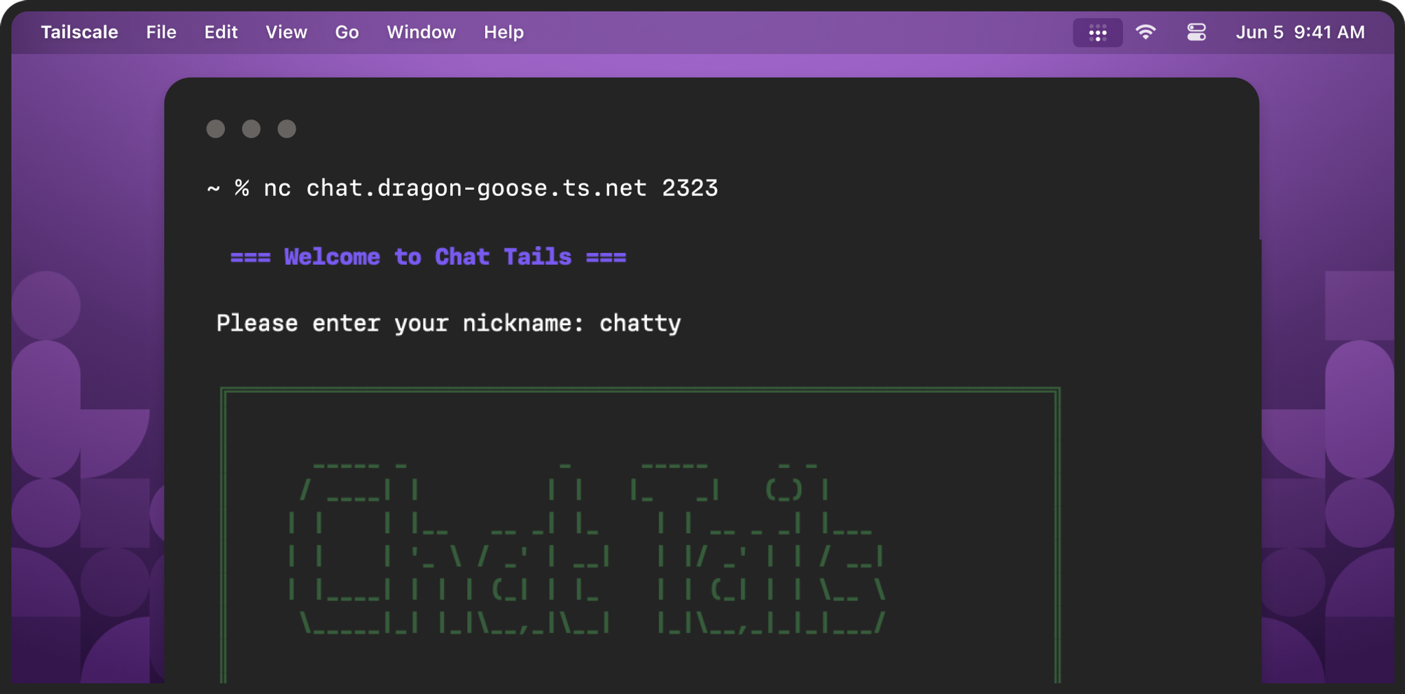 Chat-tails is a terminal-based chat app, made secure with Tailscale