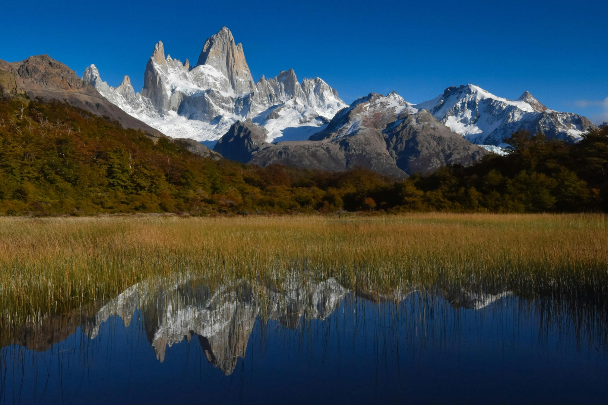 From Bariloche to Buenos Aires: A Road Trip for the Ages