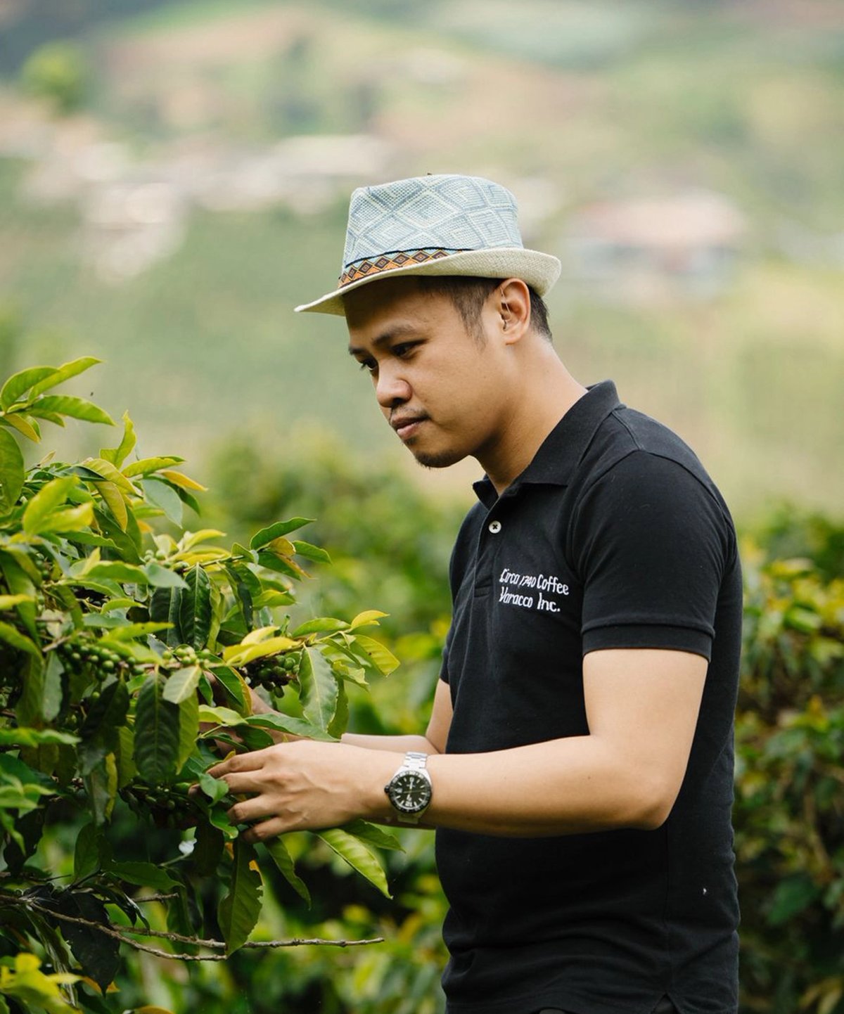 Brewing a Systems Response to the Philippine Coffee Collapse