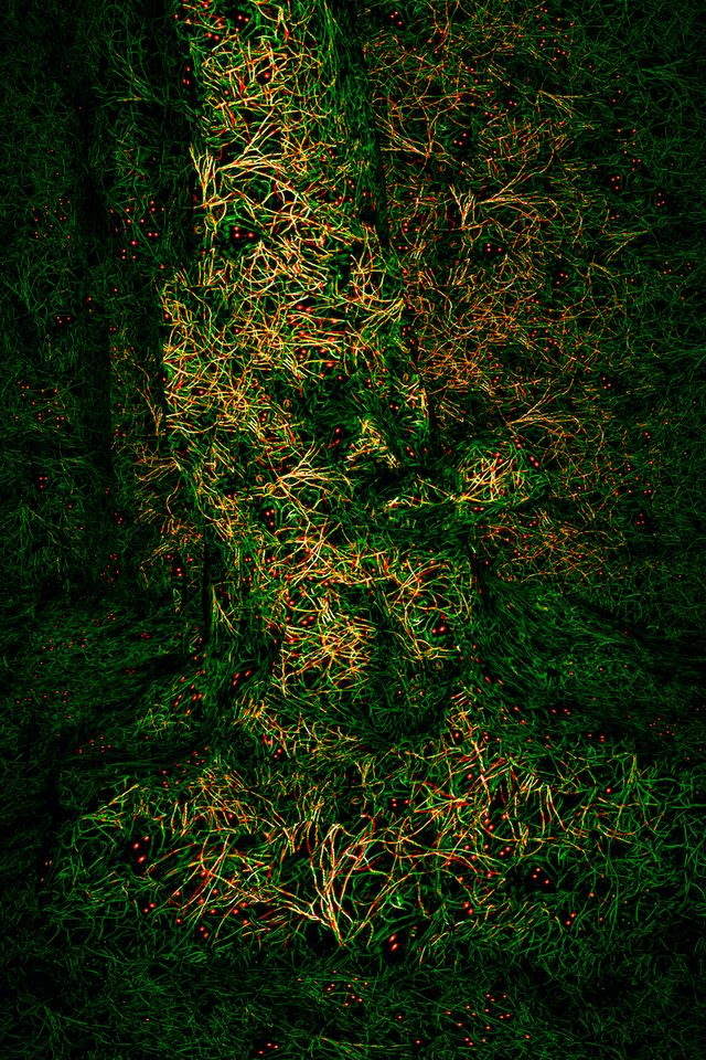 GENERATIVE ABSTRACTION AND BEYOND | GALLERY