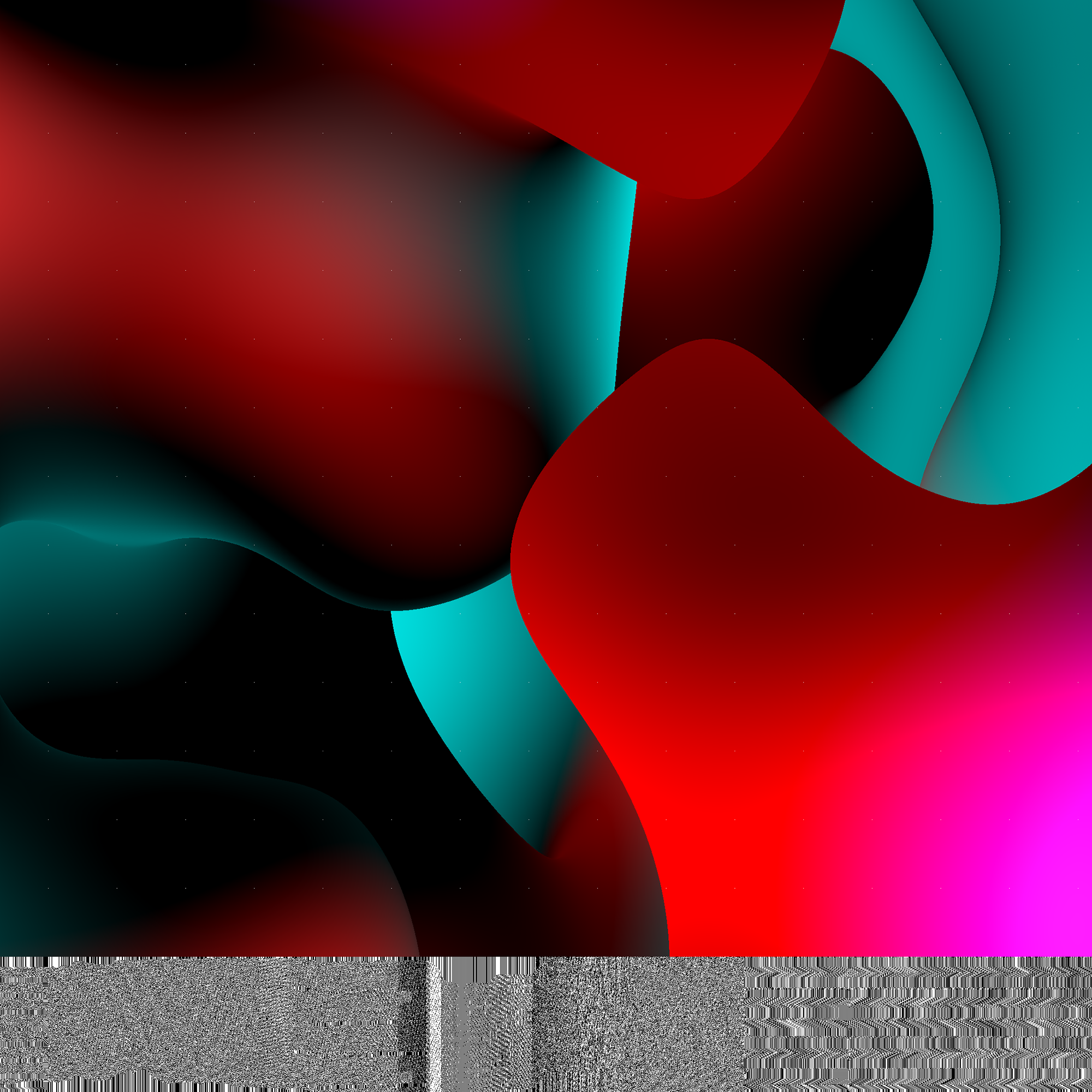 KIM ASENDORF & LEANDER HERZOG | GALLERY