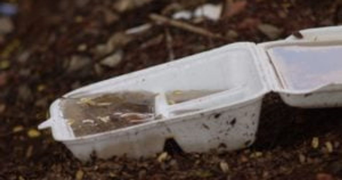 Bye bye Styrofoam takeout containers