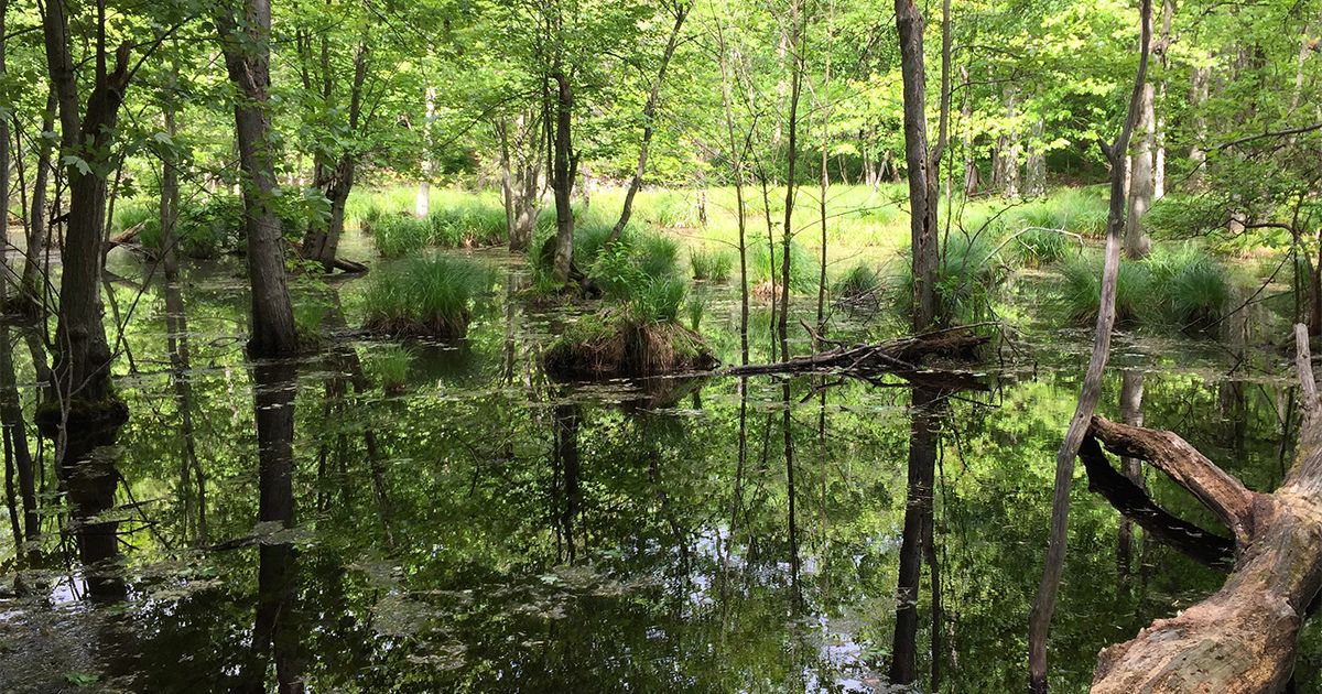 Proposed Revision of Clean Water Act Seen As A Threat to Drinking Water
