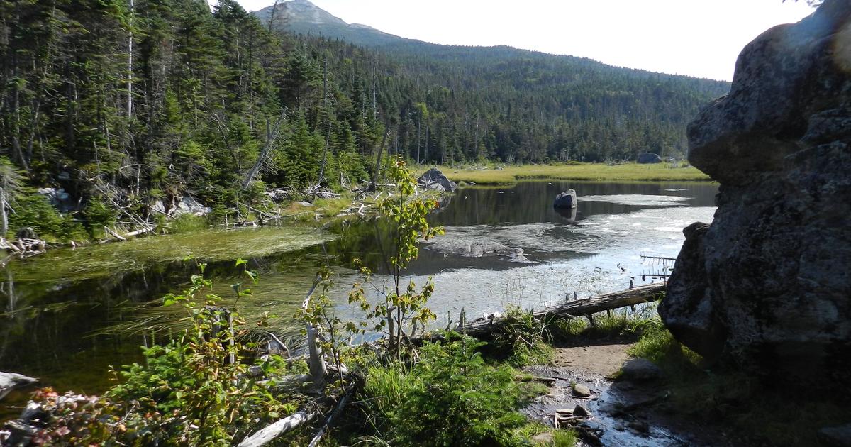 Riverkeeper completes first-of-its-kind survey of Hudson River water ...