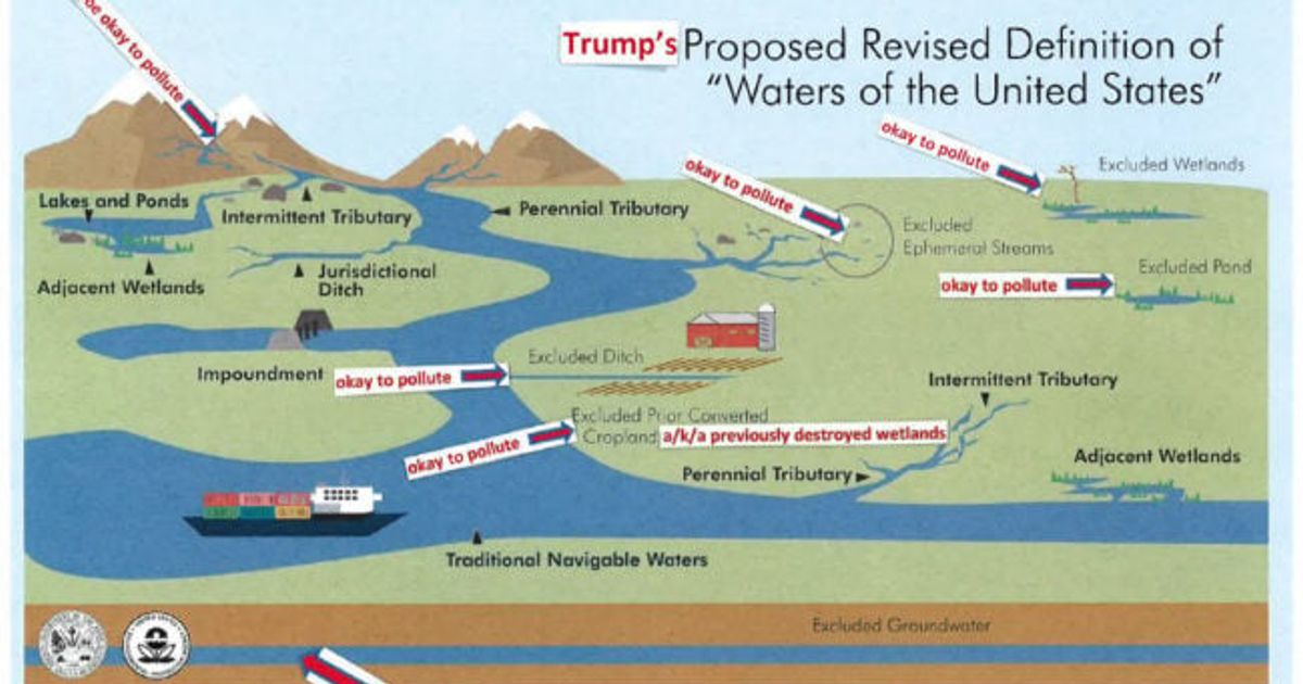 Amid federal rollbacks, NYS must act to protect streams, wetlands ...