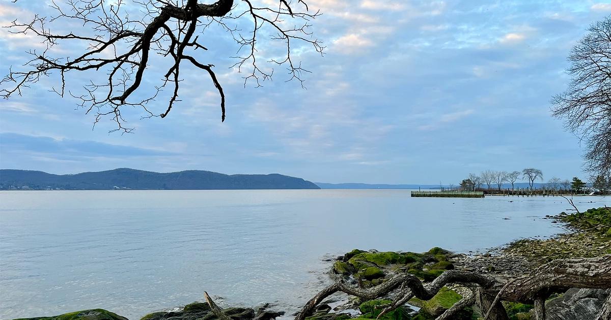 Update: Clean Path transmission line will not move forward