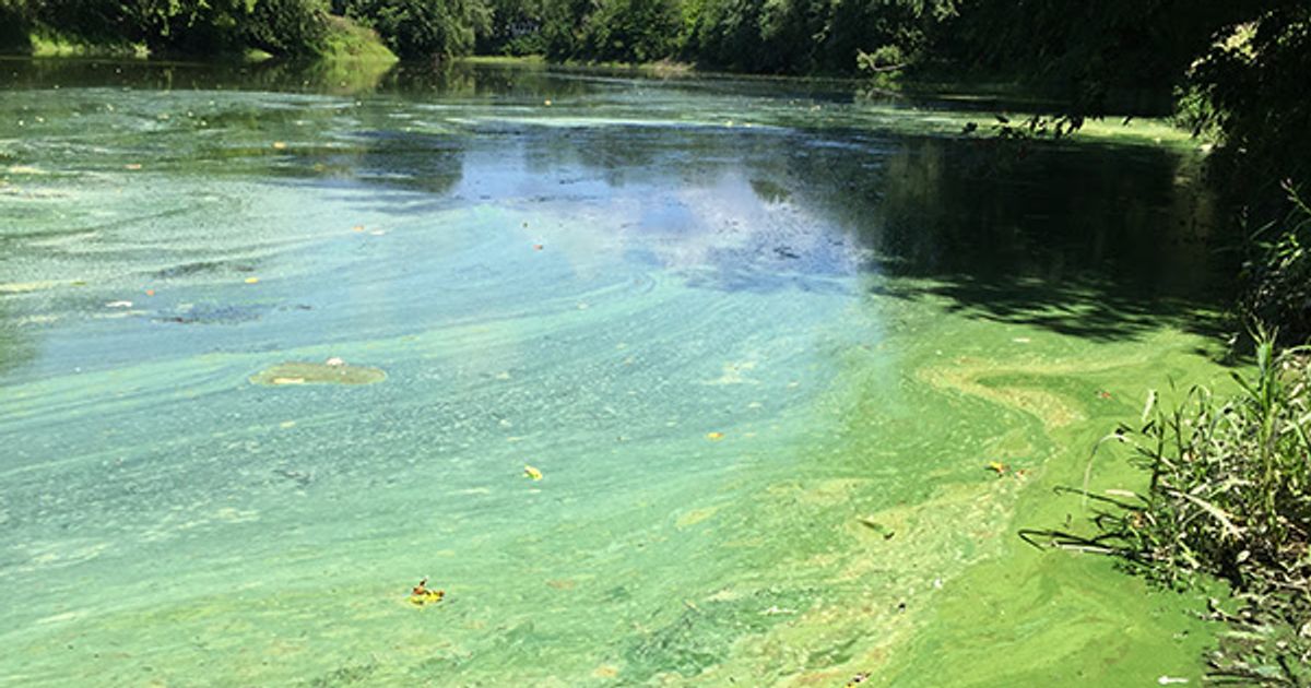 Leading the charge for stronger actions to protect clean water