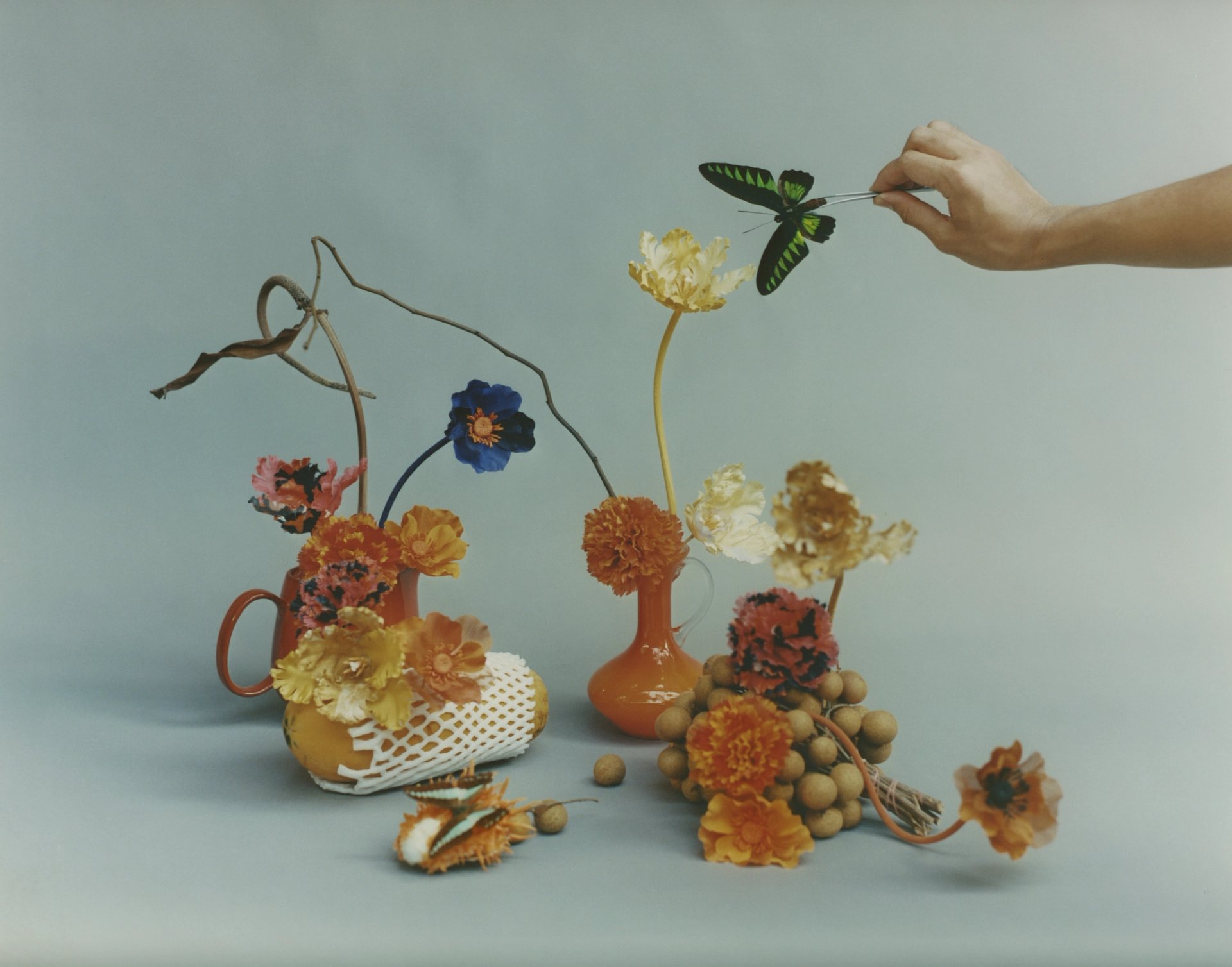 Studio Blooms: Shone Puipia x Permaflora - Project 2023 – SHONE PUIPIA