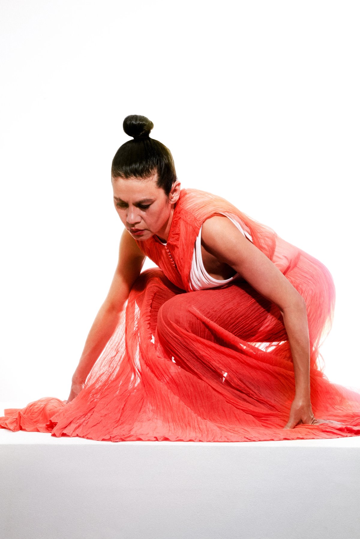 Fluid Transitions - Project 2023 – SHONE PUIPIA