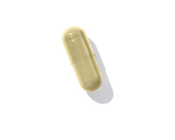 Flatter Me® Plus | Supplement for Fast-Acting Debloat and Regularity - HUM Nutrition