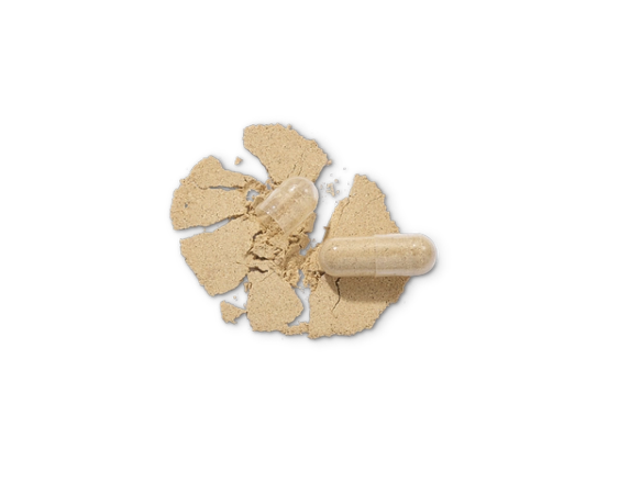 Flatter Me Extra Strength | Extra Strength Bloat Relief - HUM Nutrition