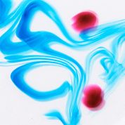 Flatter Me Fiber GLP-1 Booster - HUM Nutrition