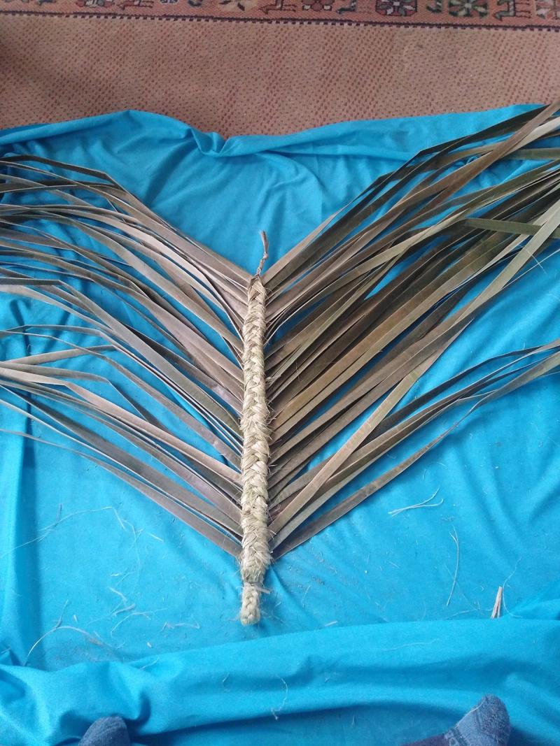 The Shared Whakapapa of Raranga - Pantograph Punch