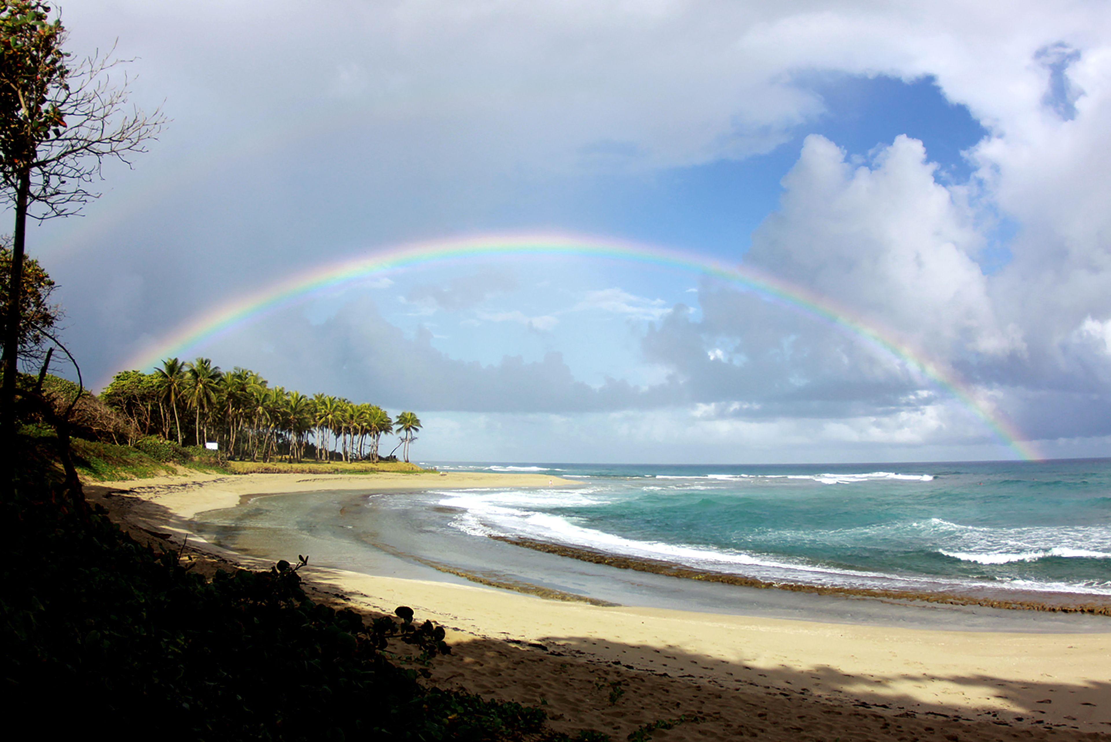 Surfing in Dominican Republic – Guide to Best Surf Spots & Seasons ...