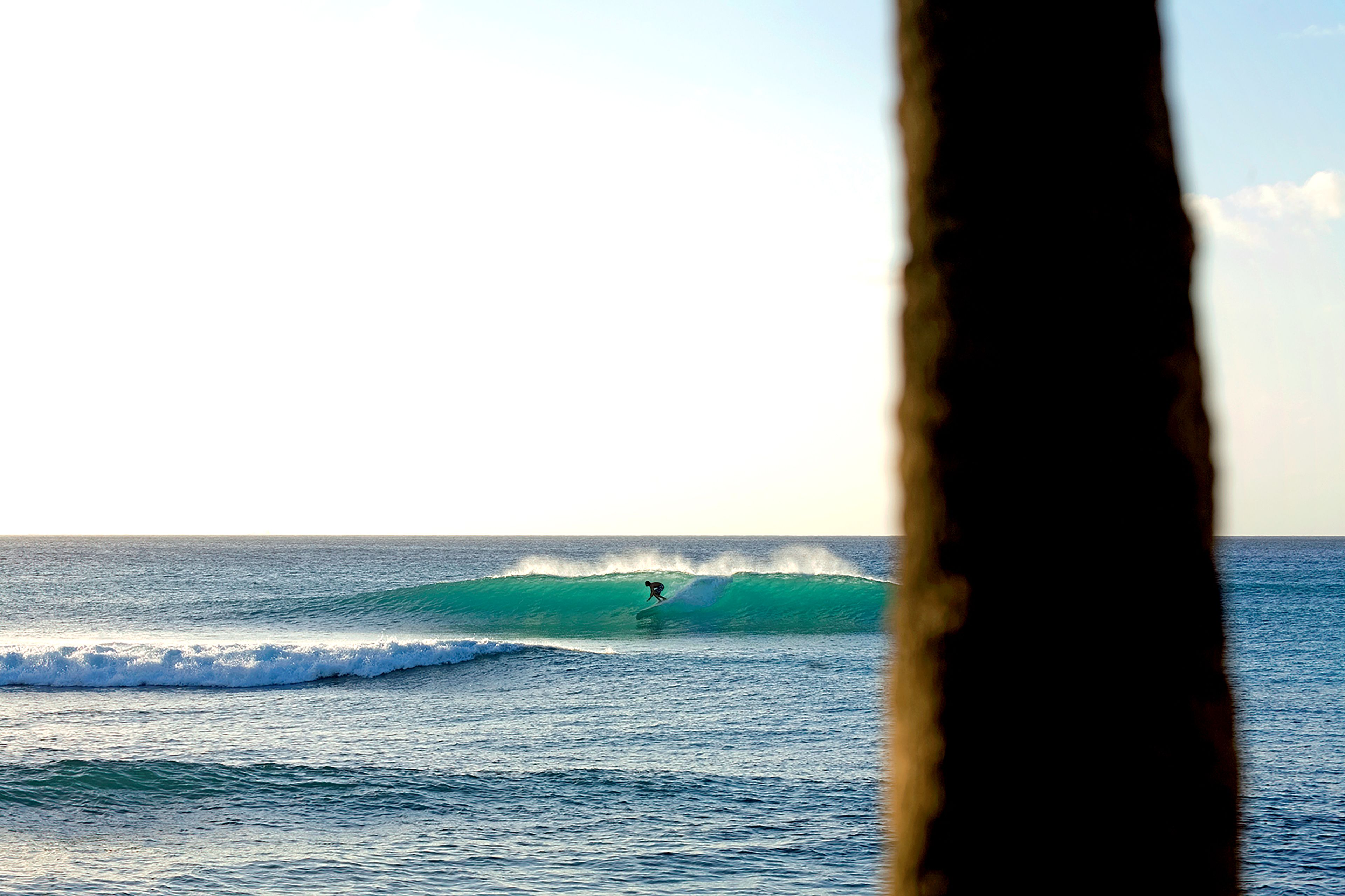 Tropicana Surf Guide (Barbados, Barbados) – Wave Info & Tips ...