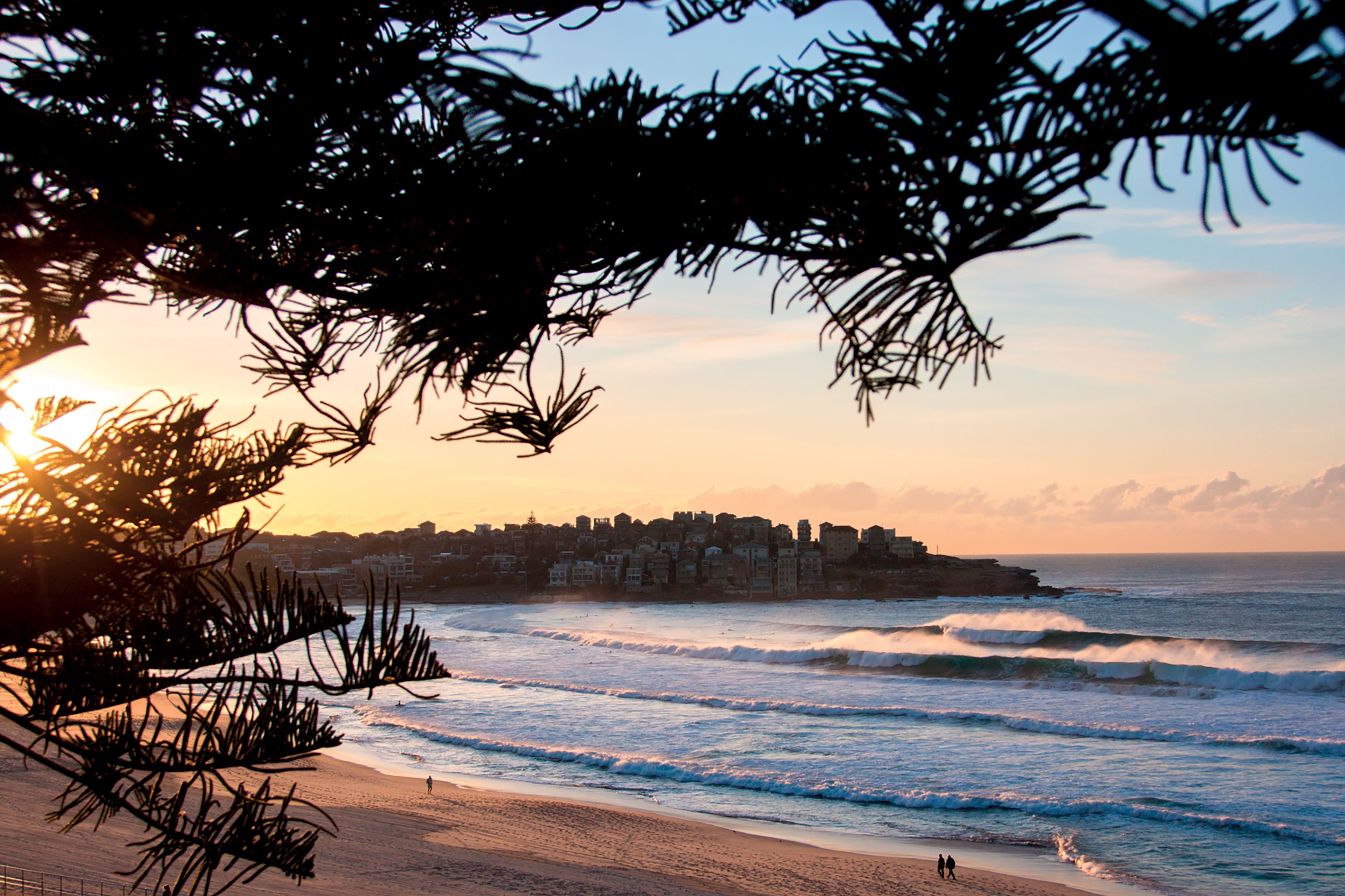 Surfing in New South Wales – Guide to Best Surf Spots & Seasons ...