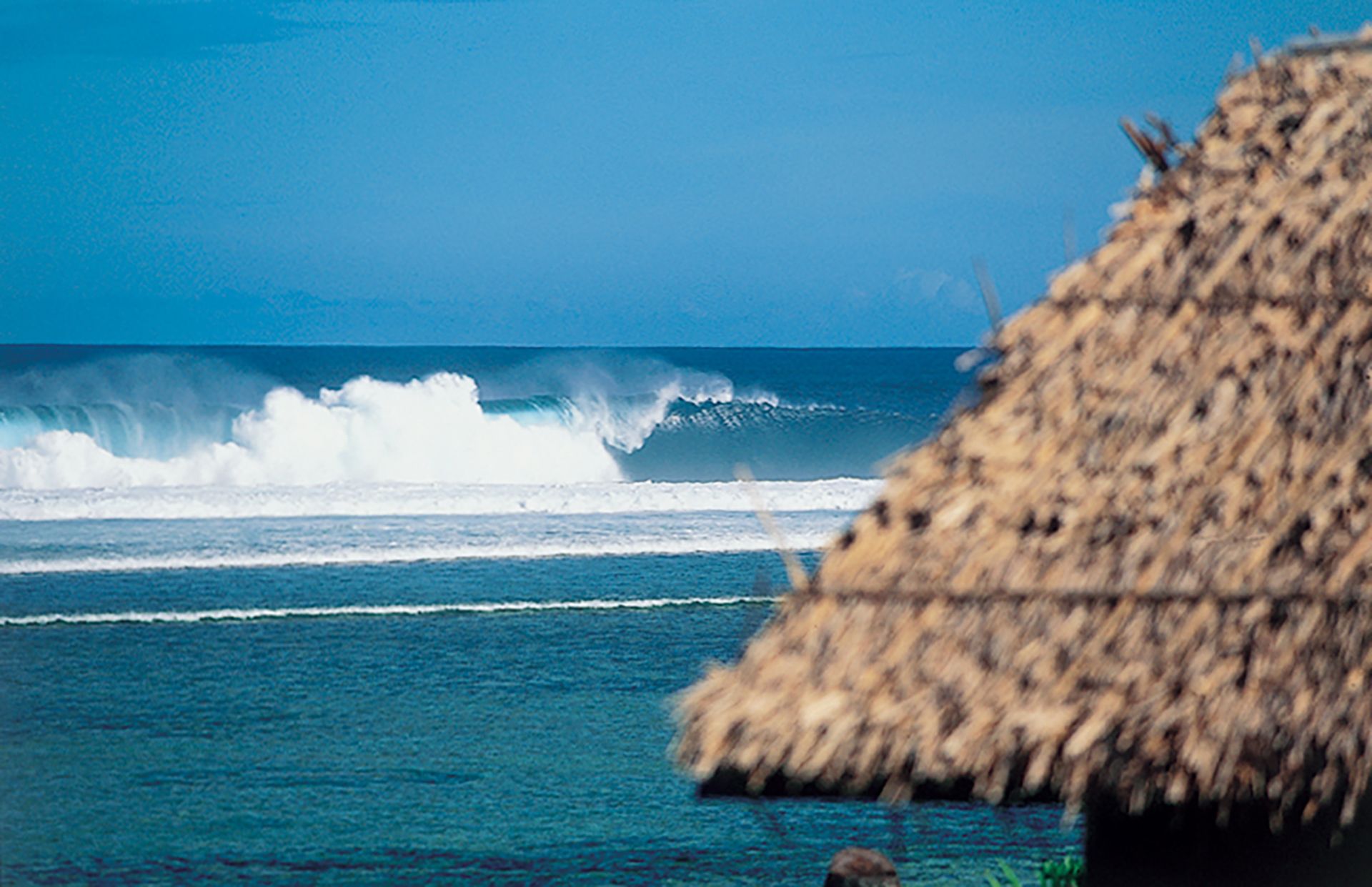 Pacifico Surf Guide (Siargao, Philippines) – Wave Info & Tips | Stormrider Surf Guides