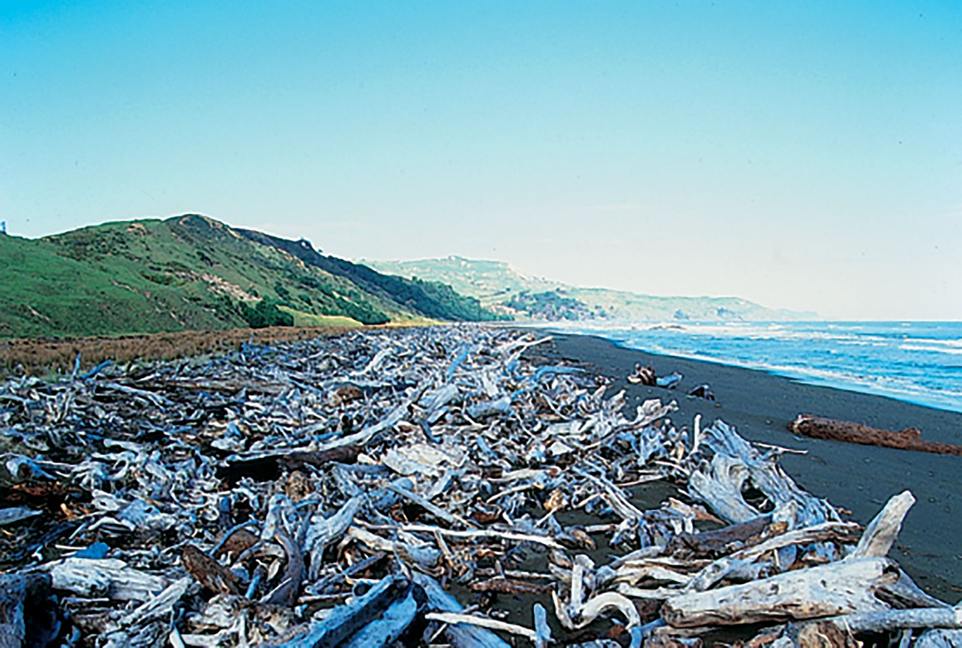 Surfing in Mahia Peninsula, New Zealand – Surf Guide & Local Tips ...