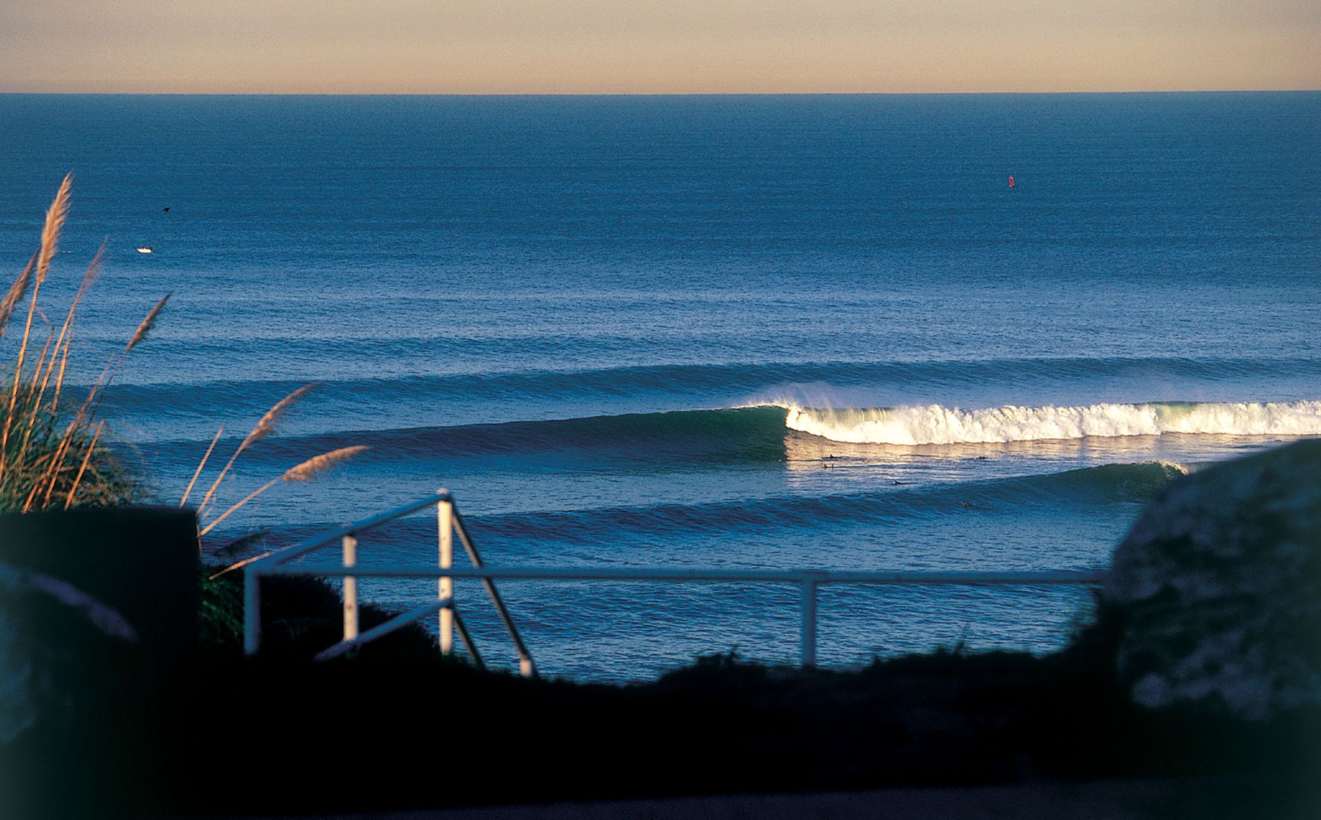 Palos Verdes Cove - North Reef/Little Queens Surf Guide (Los Angeles ...