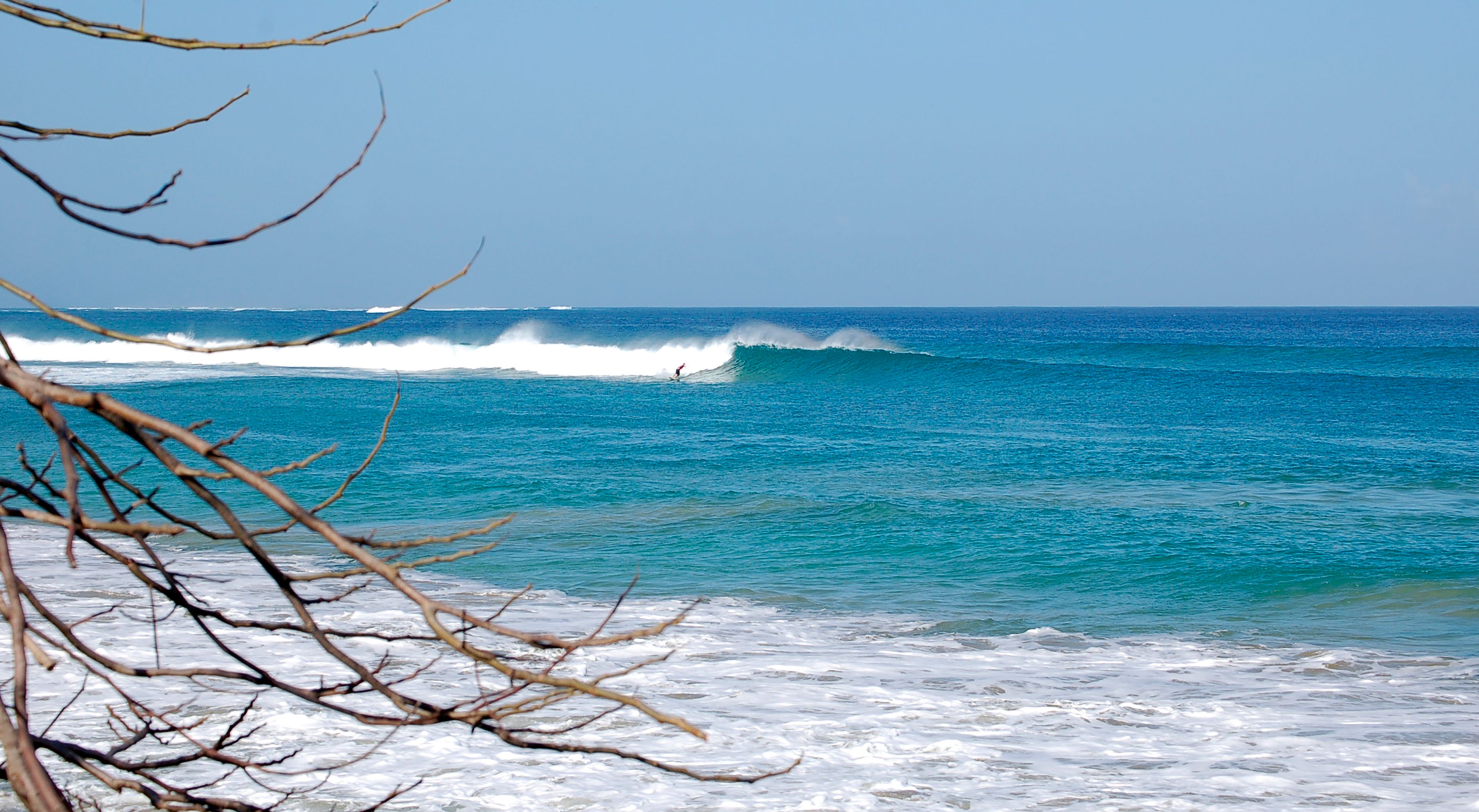 Surfing in Trinidad and Tobago – Guide to Best Surf Spots & Seasons ...