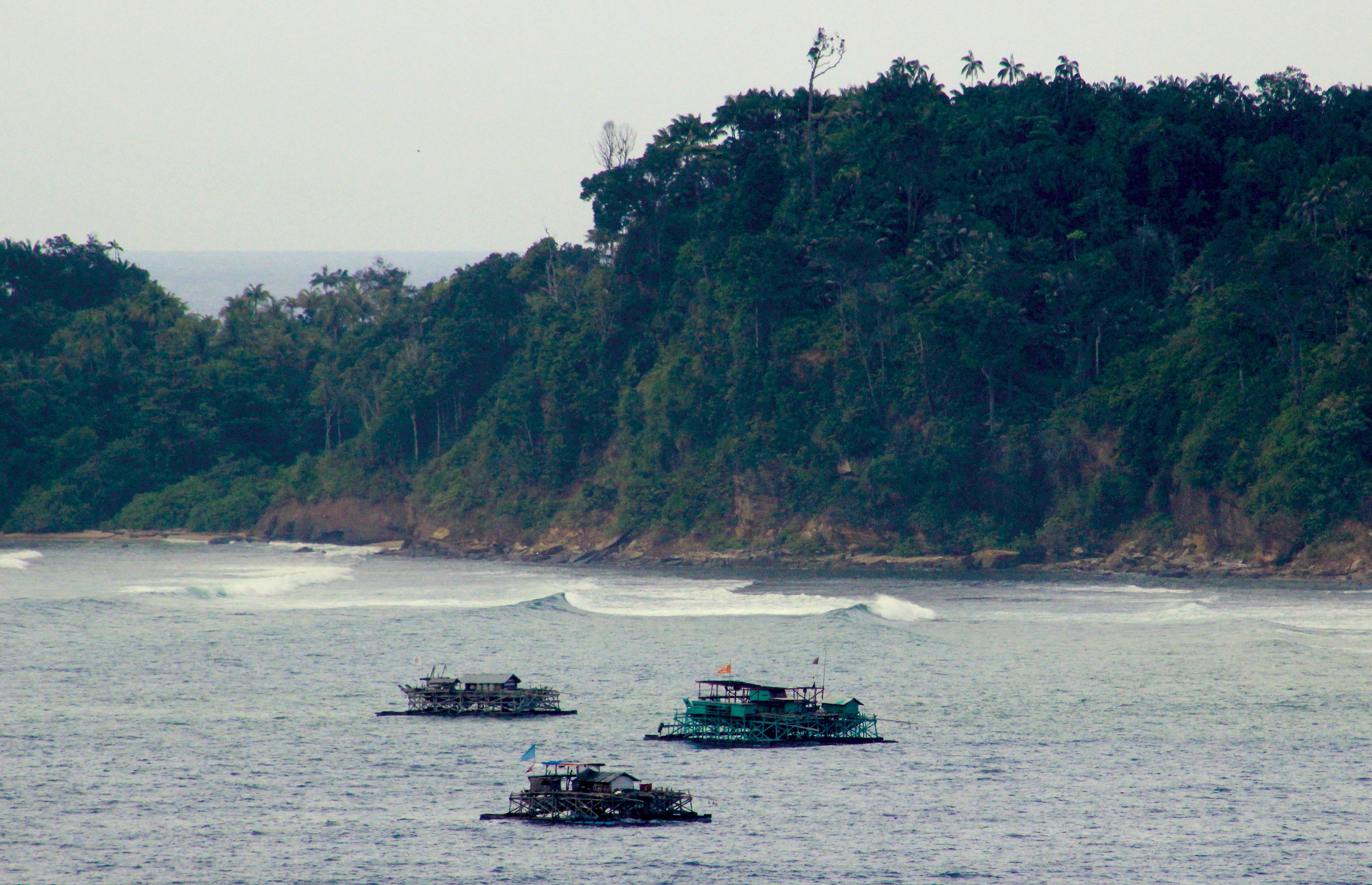 Pulo Raya Surf Guide (Aceh Jaya, Sumatra) – Wave Info & Tips ...