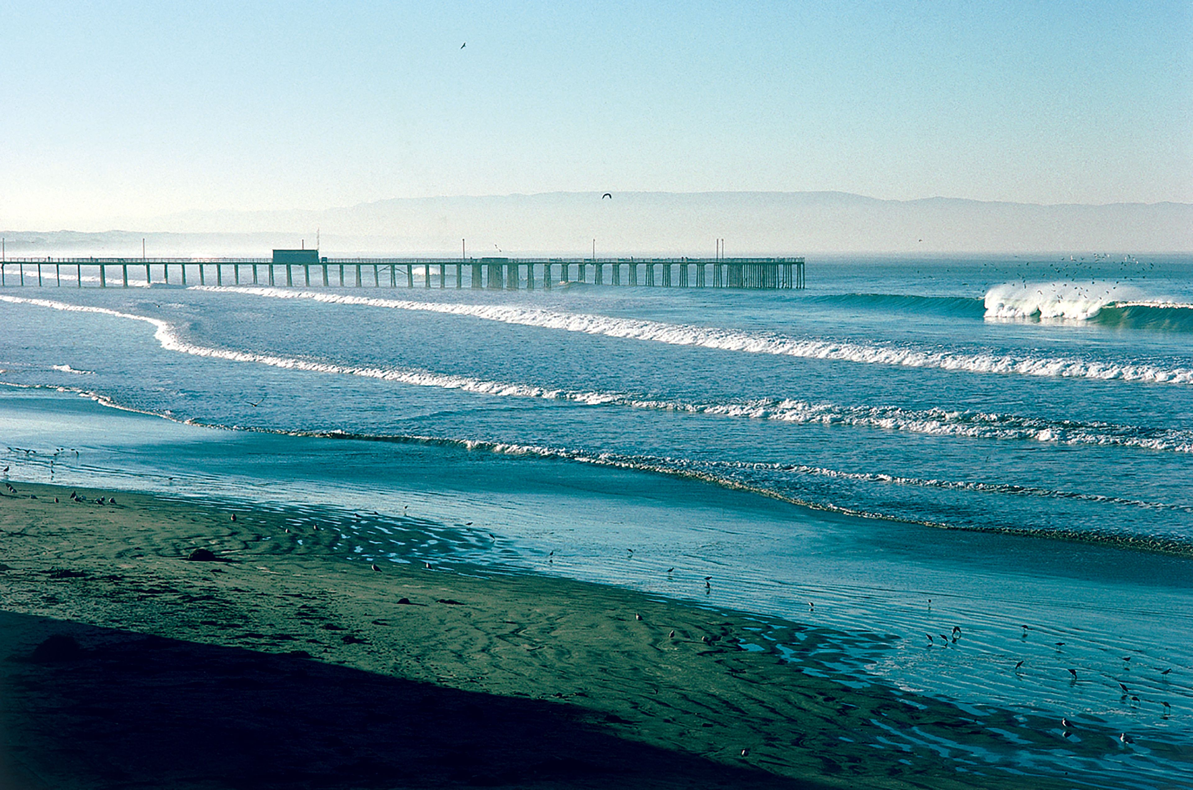 Pismo Beach Pier Surf Guide (San Luis Obispo, Central California, USA ...