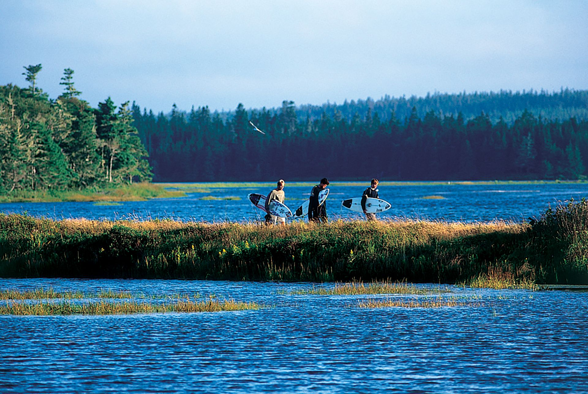 Surfing in Nova Scotia, Canada – Guide to Best Surf Spots & Seasons ...