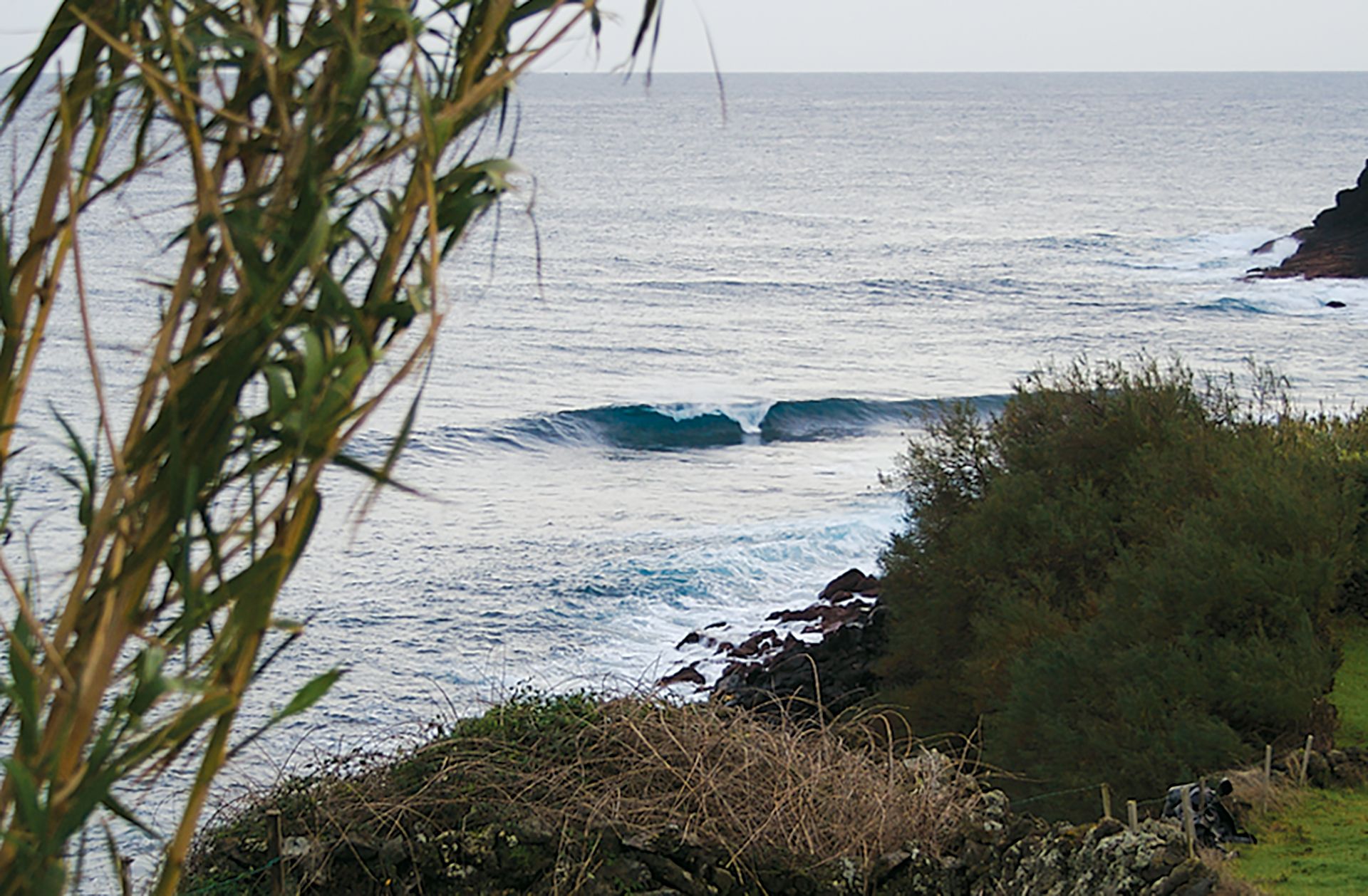 Surfing in Terceira, Azores,Portugal – Surf Guide & Local Tips ...