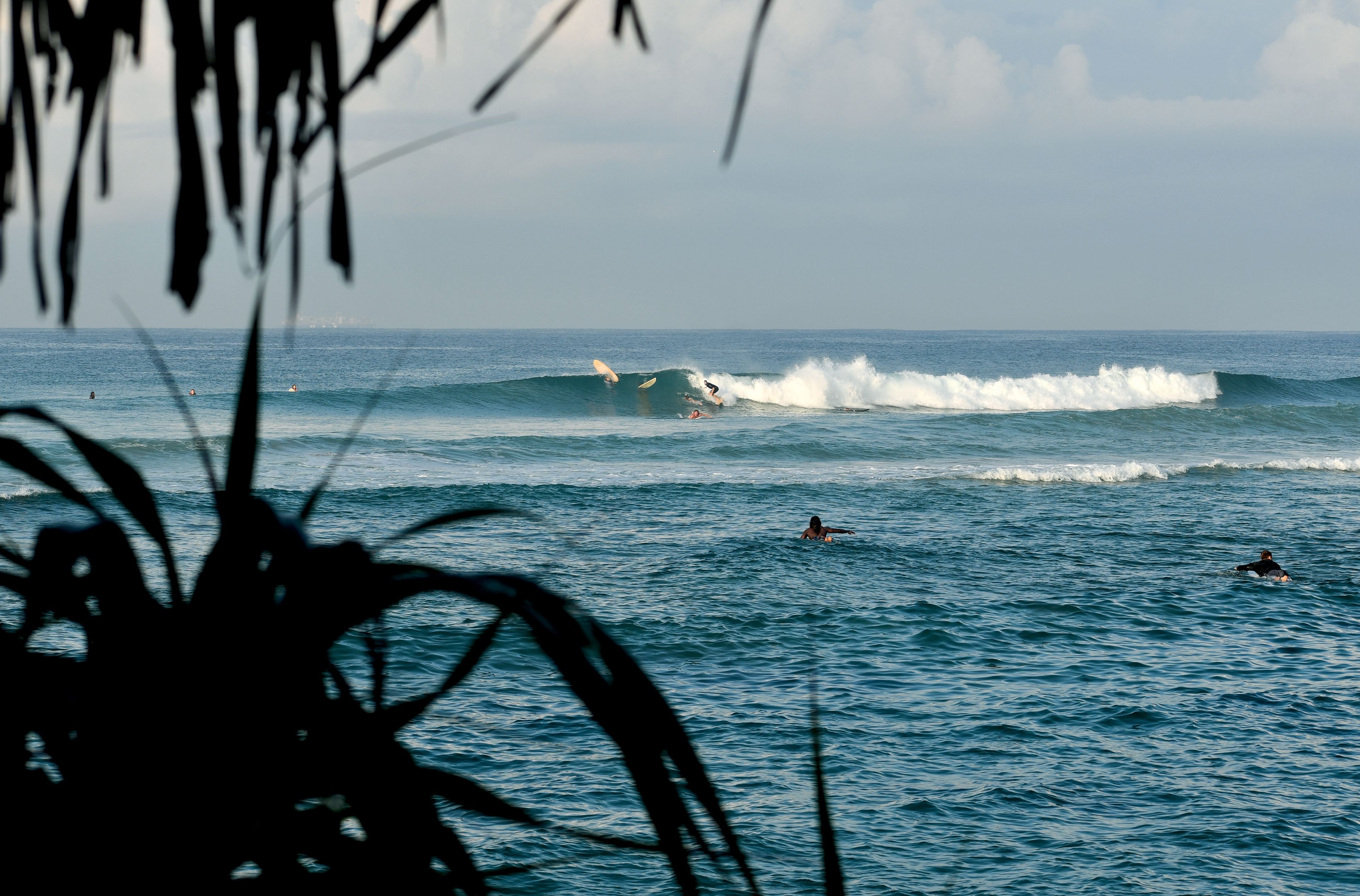 Sticks Surf Guide (Southwest Sri Lanka, Sri Lanka) – Wave Info & Tips ...