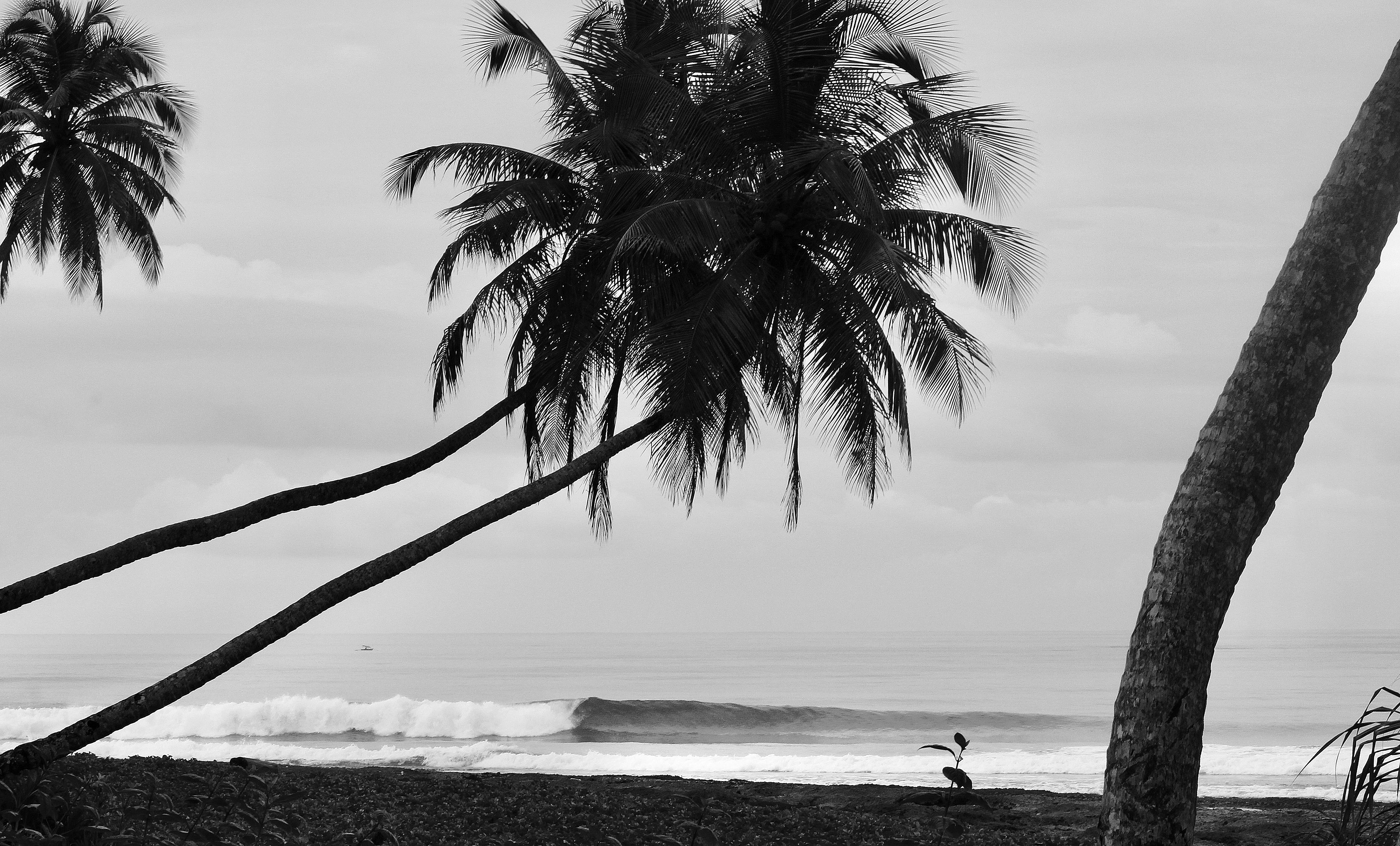 Two Palm Point Surf Guide (Simeulue, Sumatra) – Wave Info & Tips ...