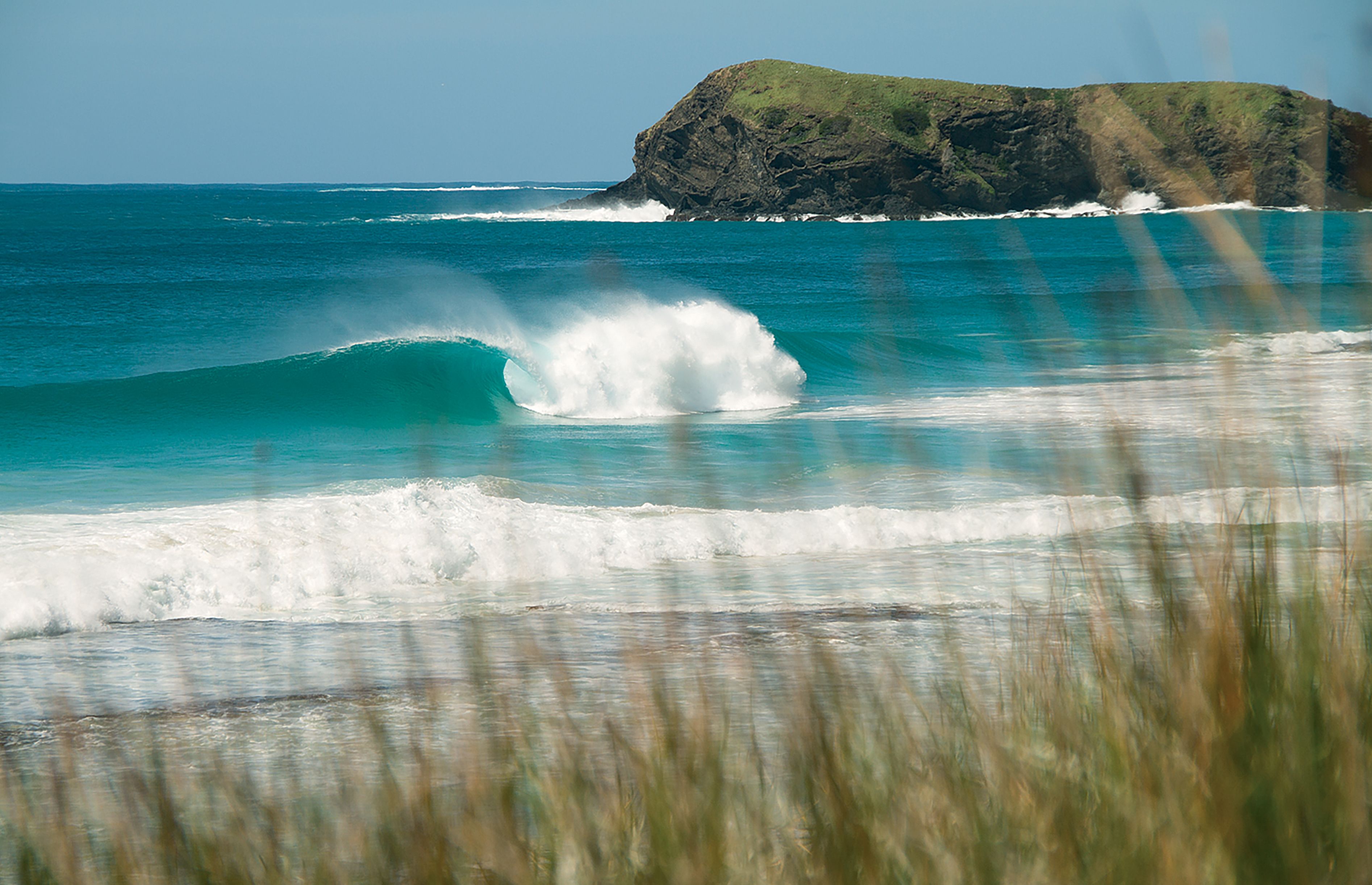 Surfing in Lord Howe Island, New South Wales – Surf Guide & Local Tips ...