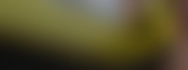 Opening a Bank Account in Austria (Even for Non-Residents)