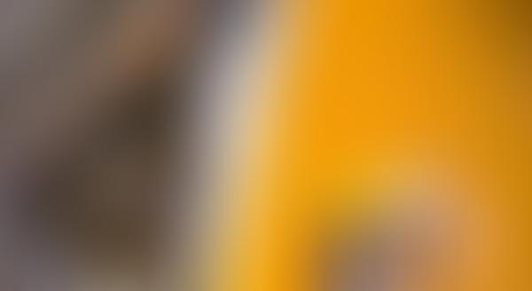 Converter ZAR para MZN | Cotação Rand - Metical hoje