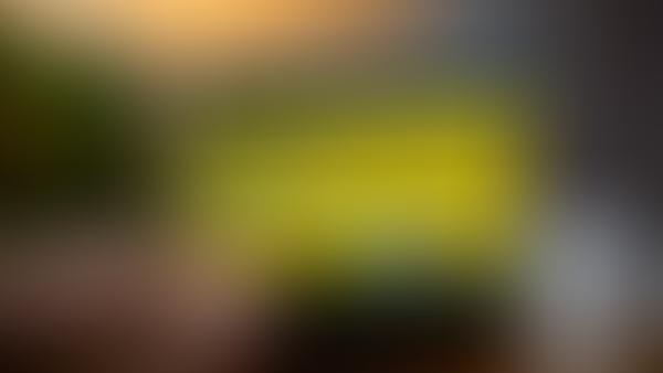 Western Union Prepaid Card Review: The Netspend Mastercard