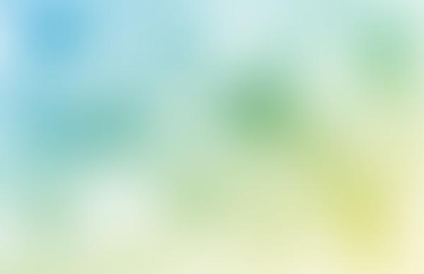 Best BWP to INR Exchange Rates Compared Live