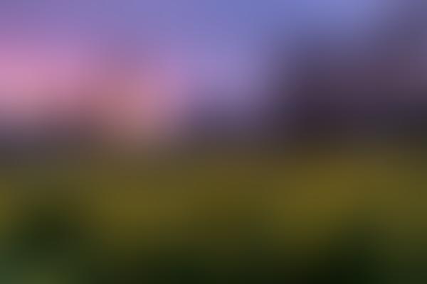 UK Post Office Foreign Currency Exchange Rates in 2024