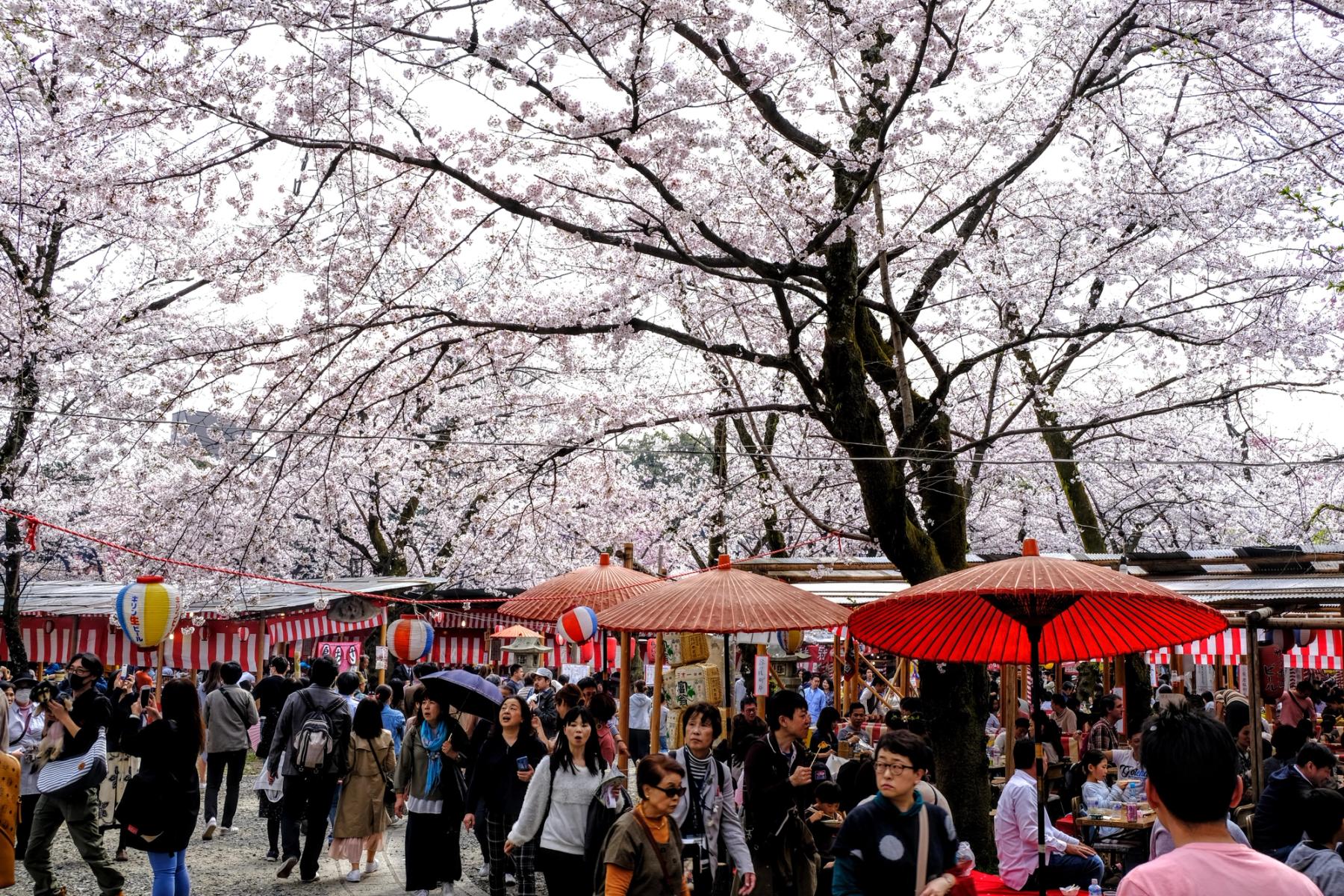 Using ATMs in Japan: Your Guide to Fees, Cards & Getting Cash