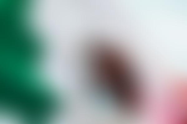 Best MVR to INR Exchange Rates Compared Live