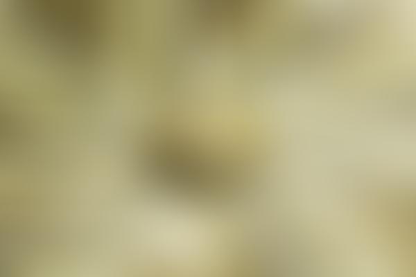 Sending Money To India With Xoom: A Review