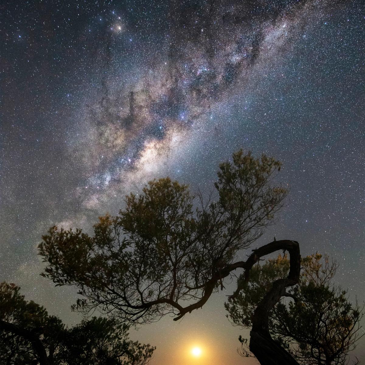 Powerhouse Museum - Southern Sky Astrophotography