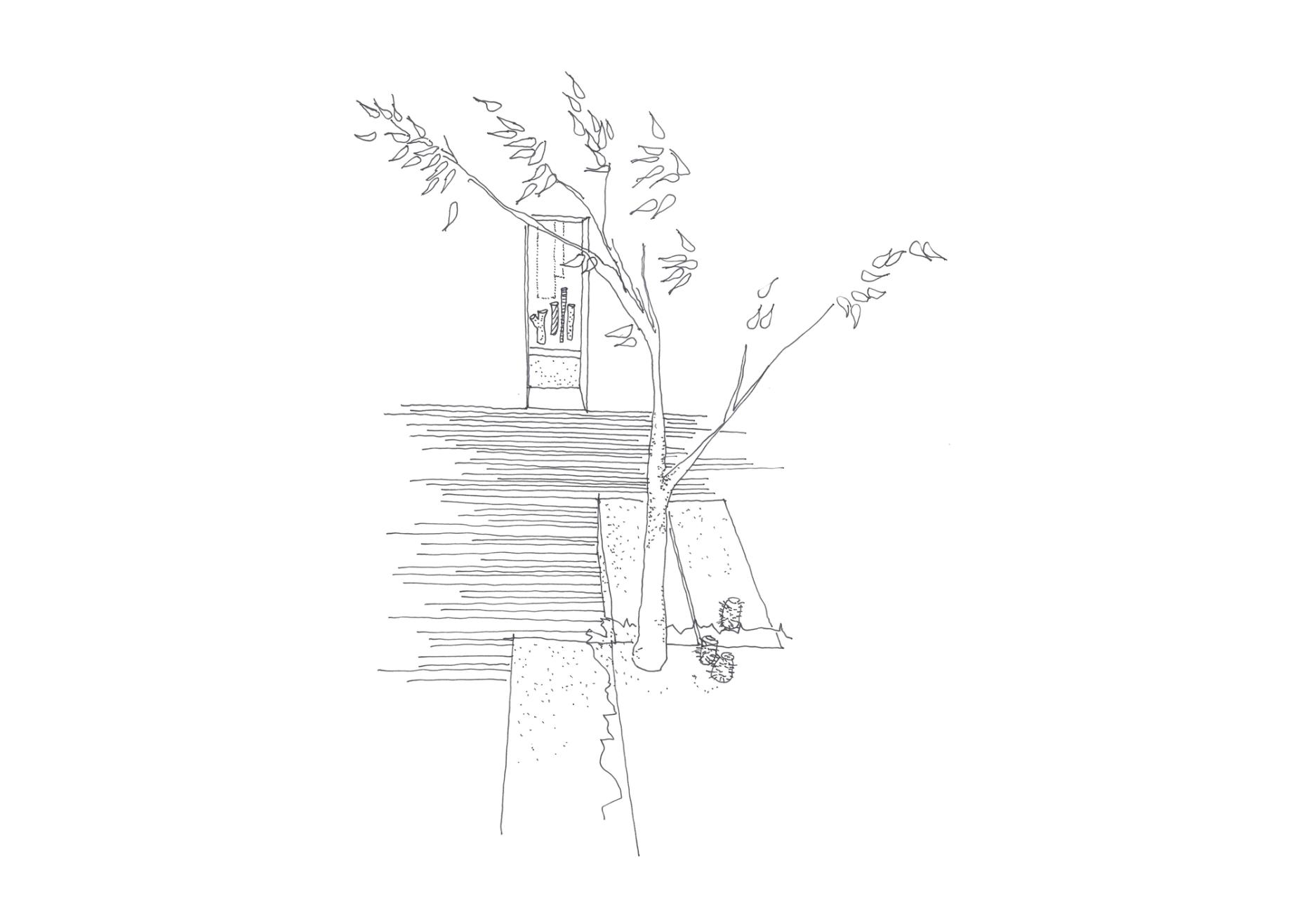 Powerhouse Museum - The Ethos of the Forest – Powerhouse Publication ...